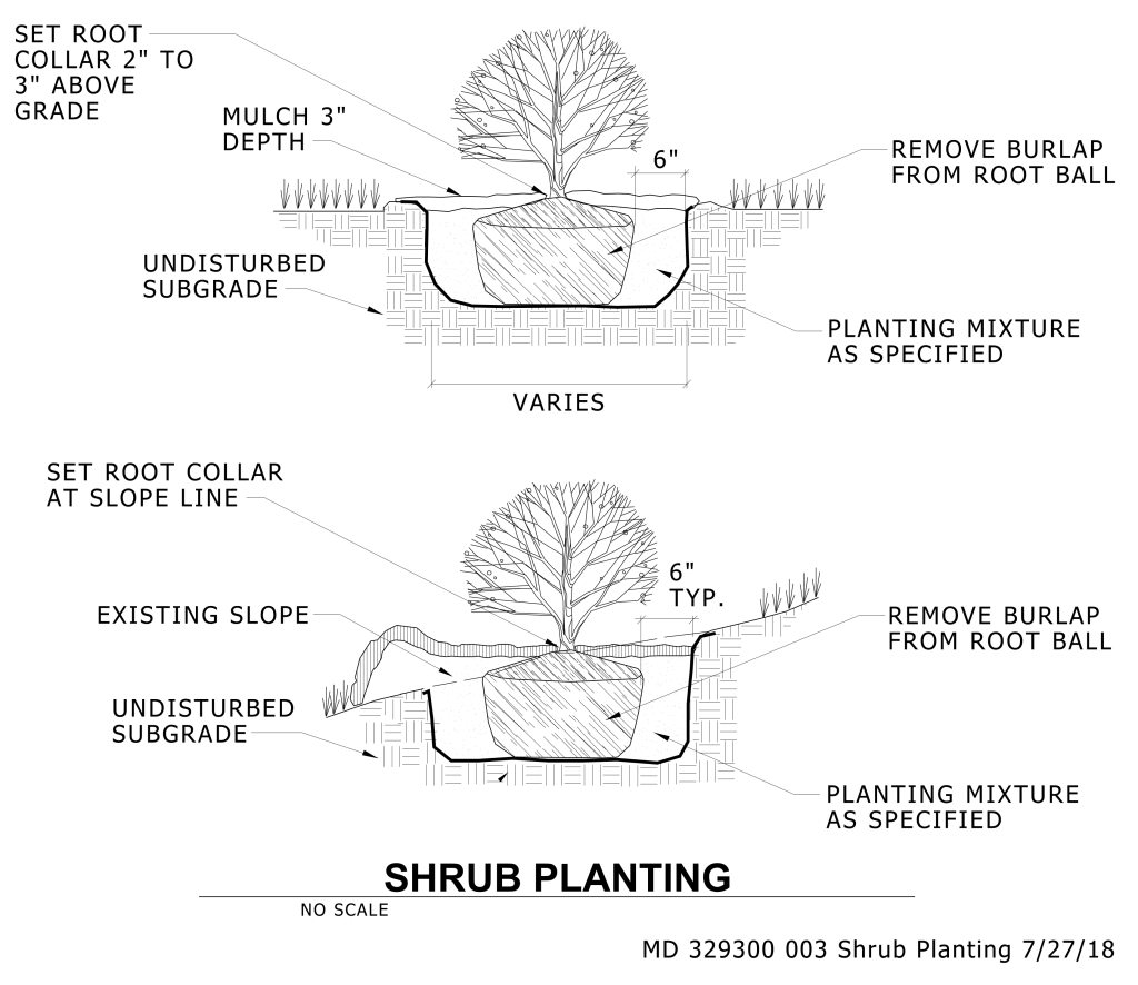 Shrub Planting - University of Michigan Architecture, Engineering and ...